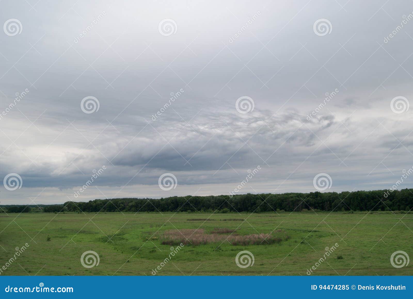 A Chinese Cloud Dragon Flying Over the Withered Swamp in the Fields ...
