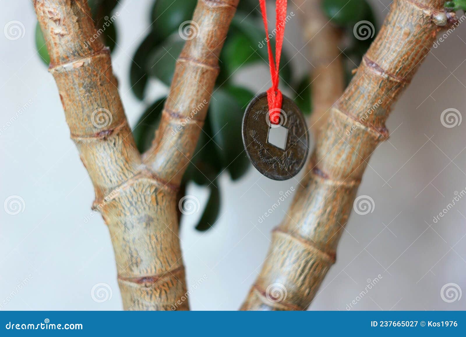 Chinese Coin for Wealth Hanging on the Money Tree Stock Image - Image ...