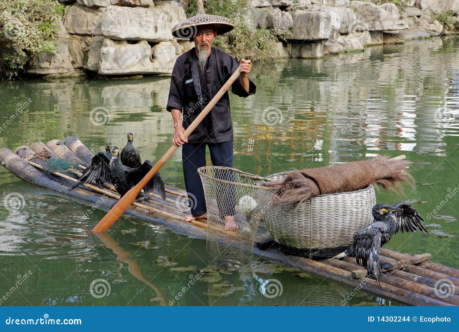 Chinese Cormorant Fisherman Editorial Stock Image - Image of catch ...