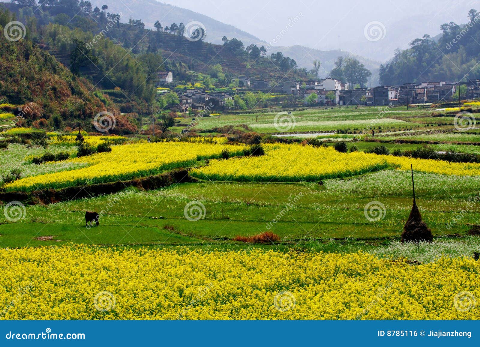 Chinese country stock photo. Image of chinese, mountains - 8785116