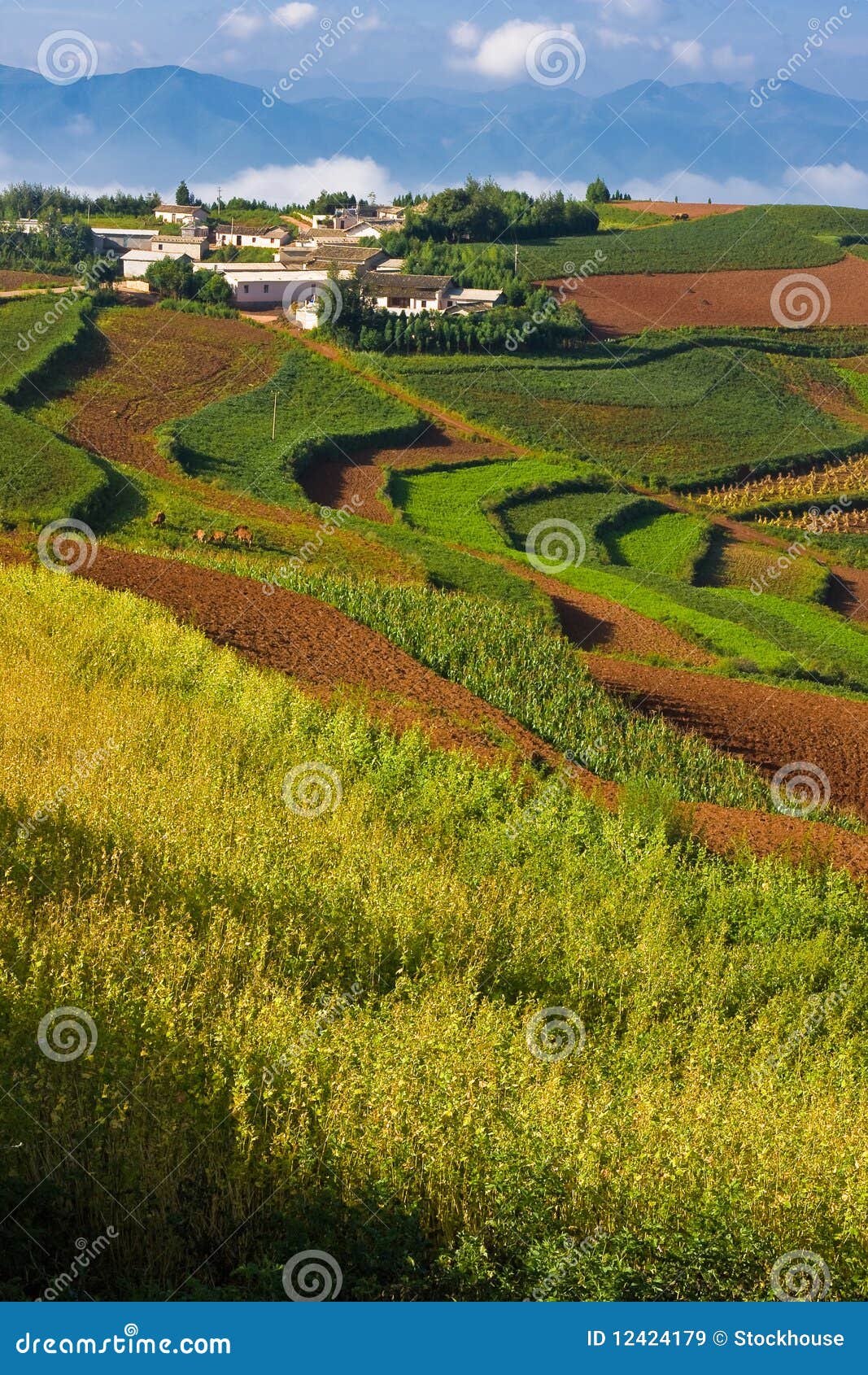 Chinese Countryside Village (1) Stock Image - Image of hongtudi, grass ...
