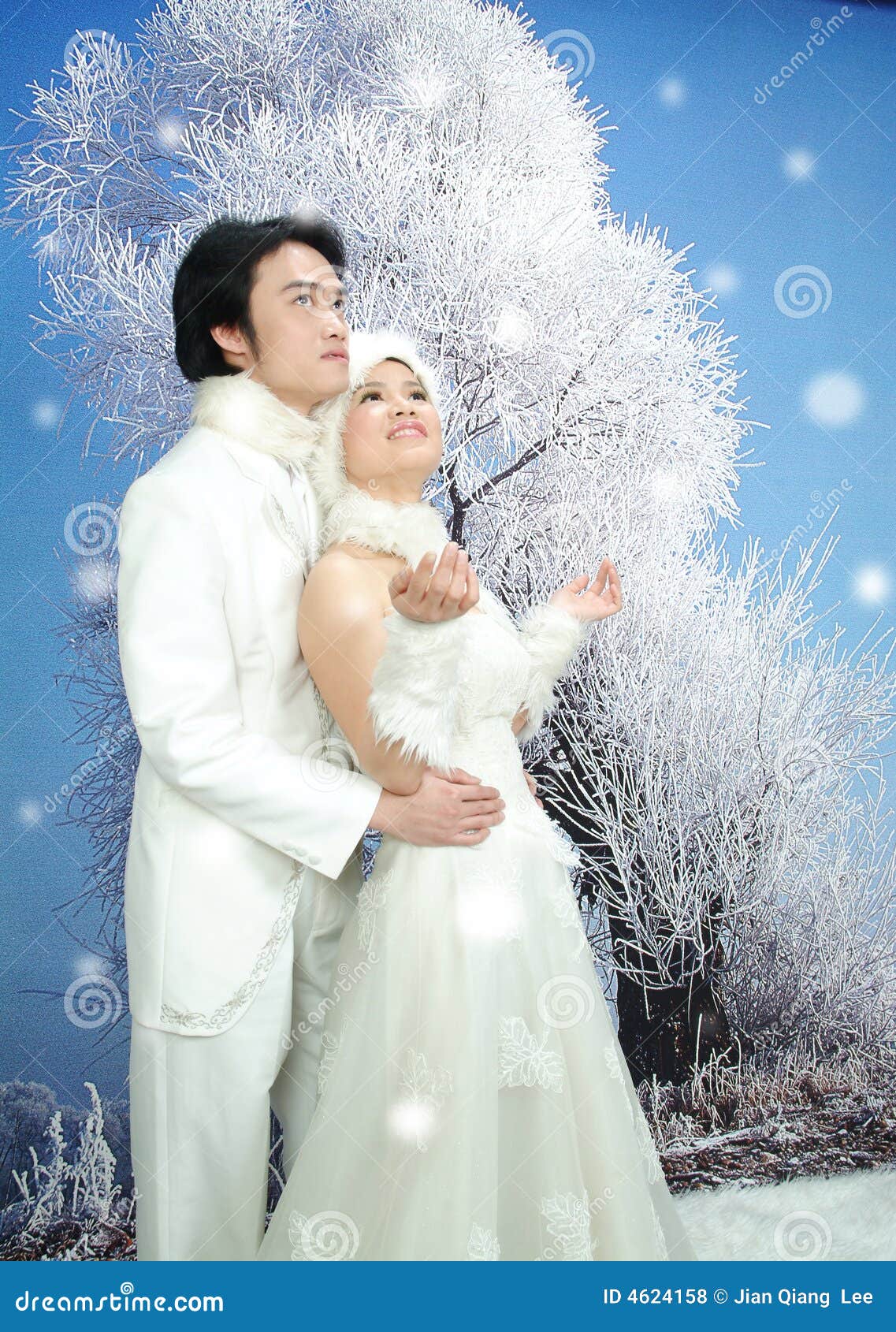 The Chinese Couples Picture. Image: 4624158