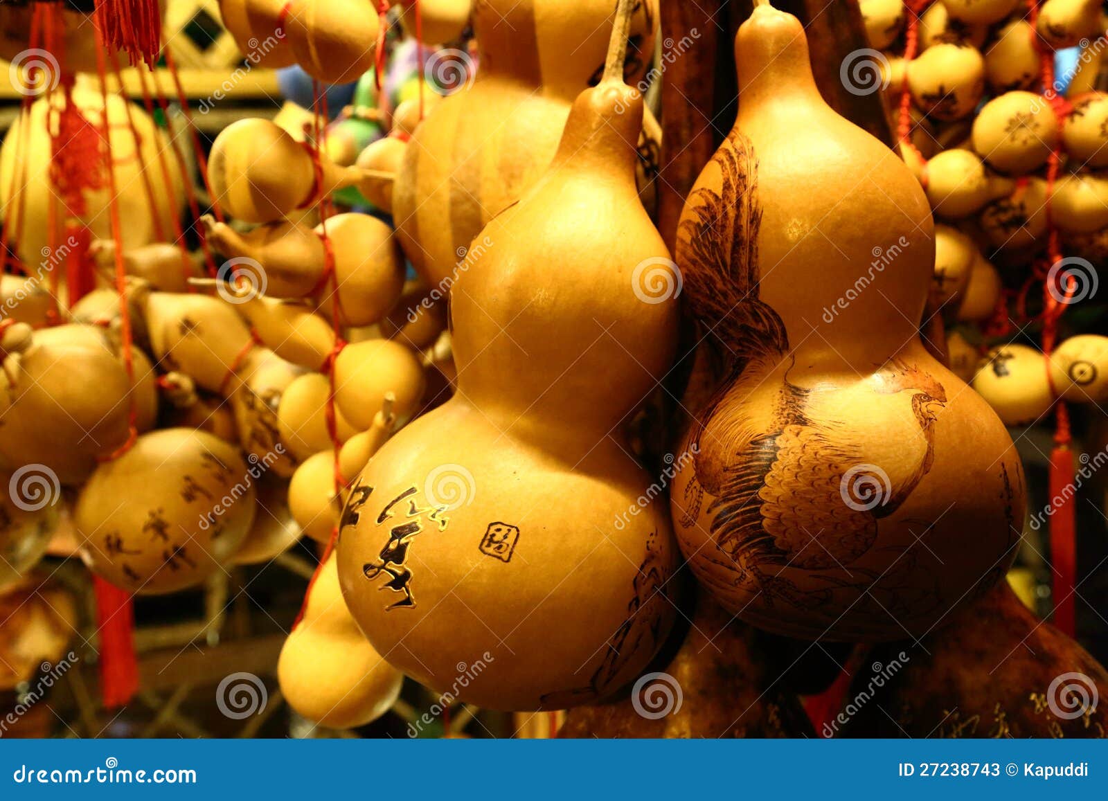 Chinese cucurbit stock image. Image of east, asian, oriental - 27238743