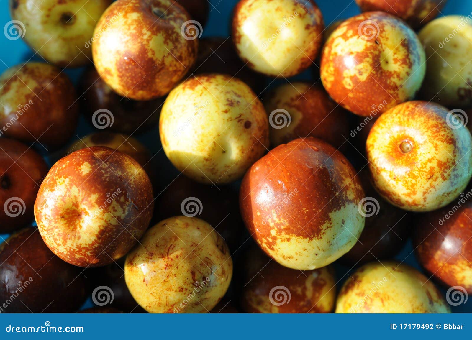 Chinese date stock photo. Image of freshness, dieting - 17179492