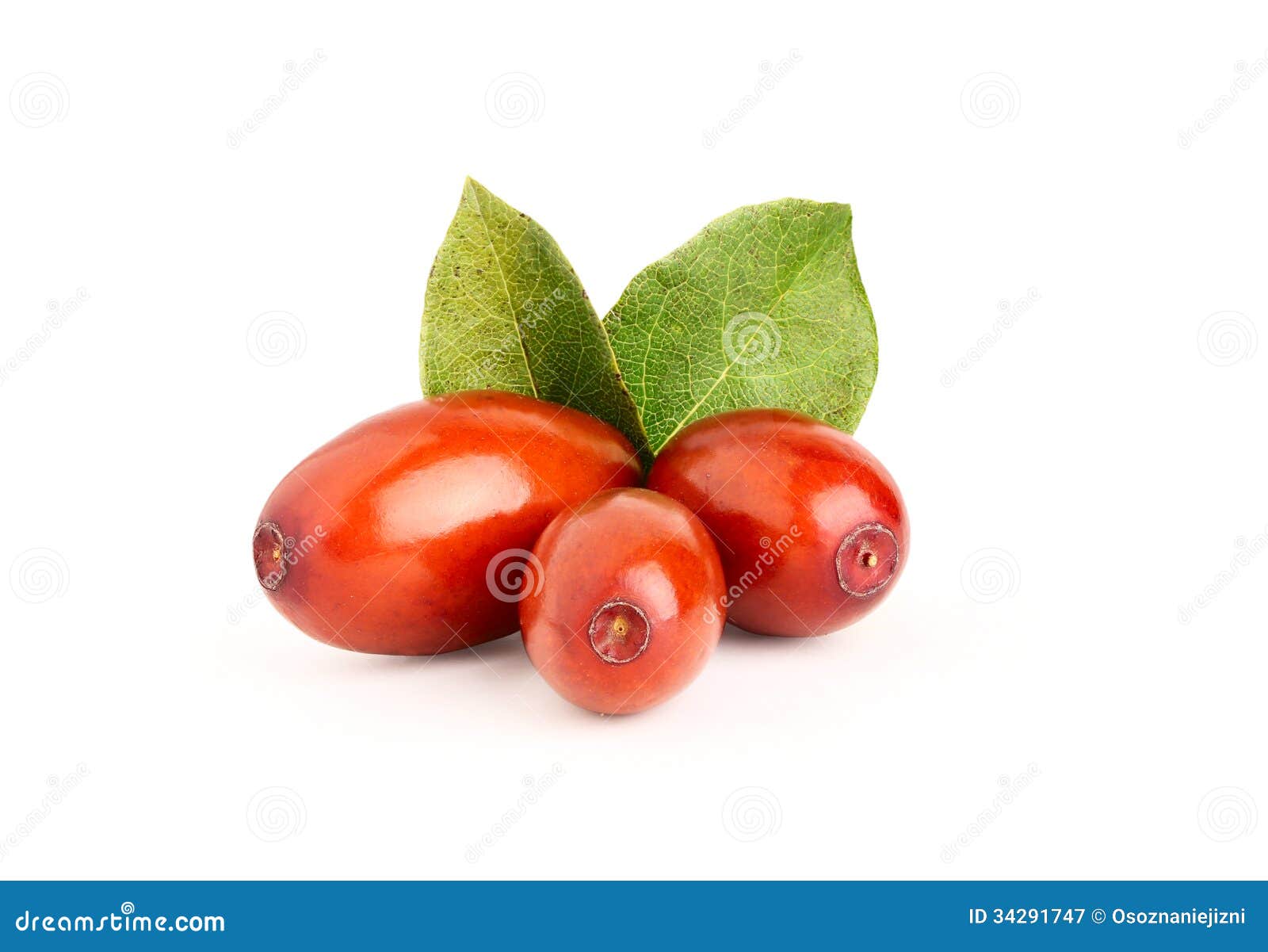 Chinese dates with leaves. stock image. Image of plants - 34291747