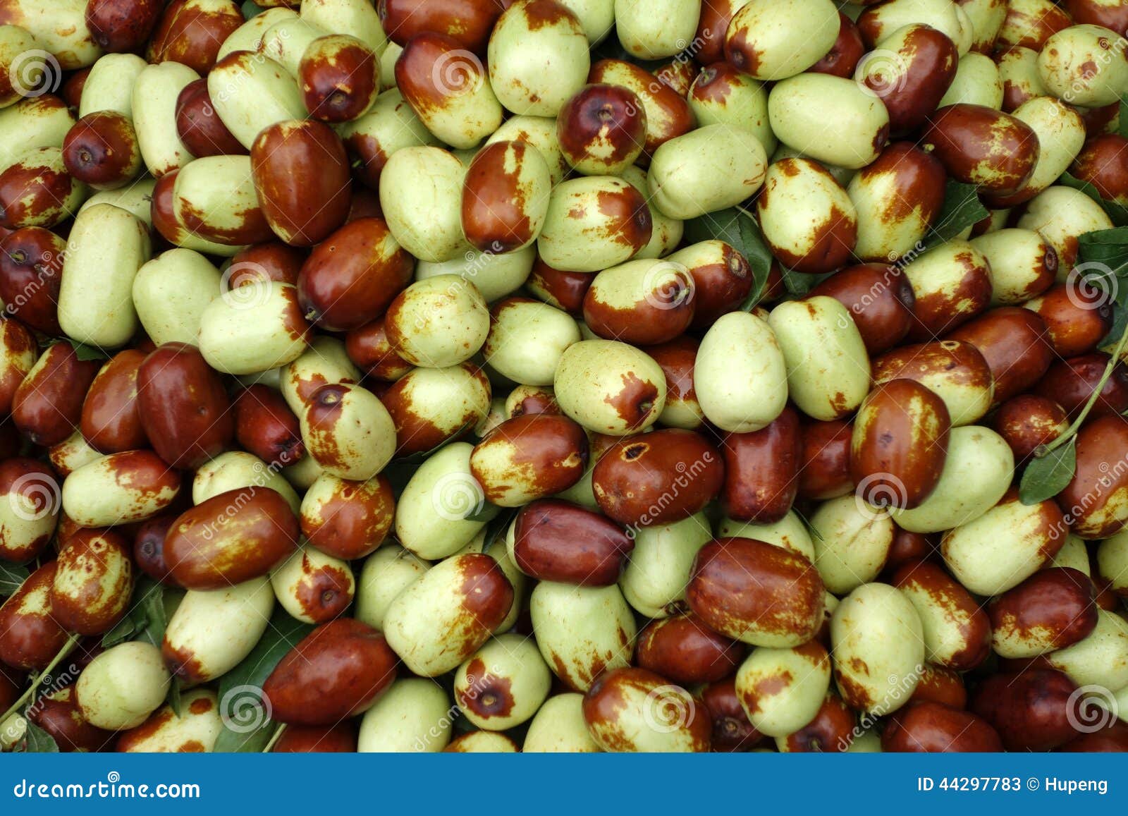 Chinese dates stock image. Image of cultivation, back - 44297783