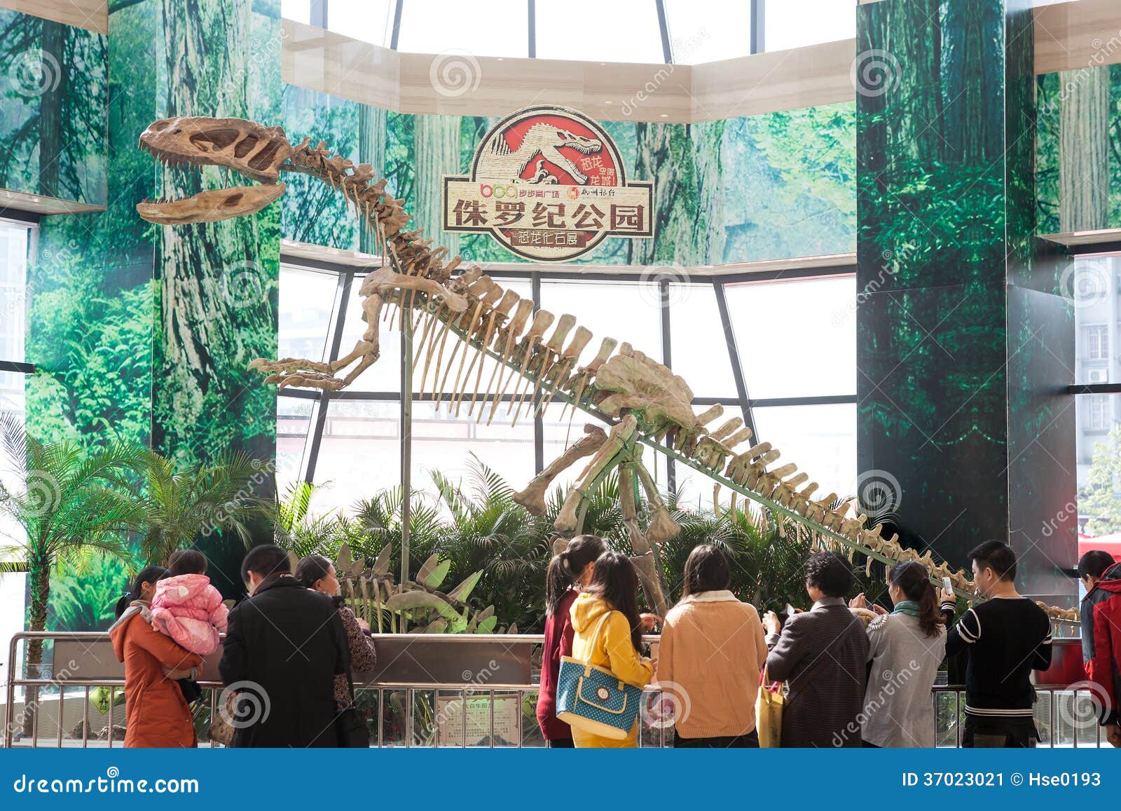 Chinese Dinosaur Skeleton on Display Editorial Photo - Image of ...