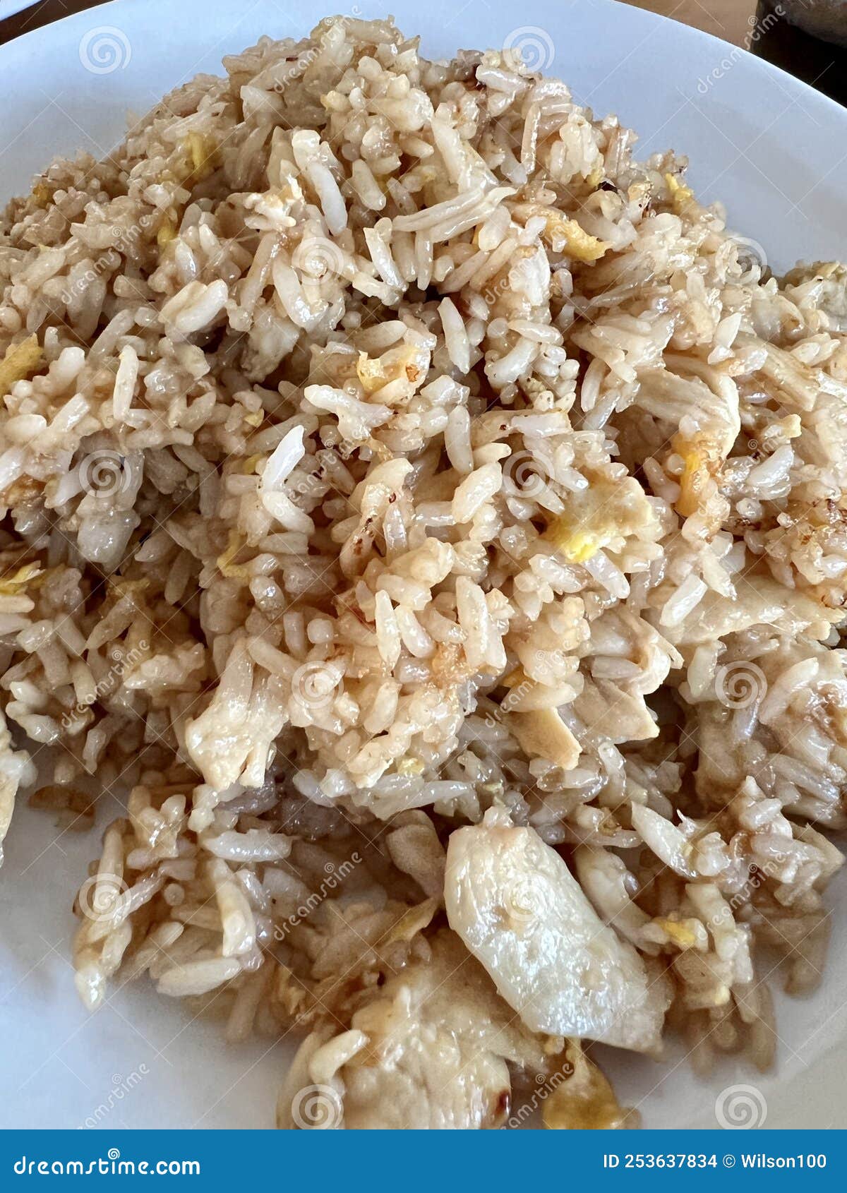 Chicken Fried Rice stock photo. Image of fried, chicken - 253637834
