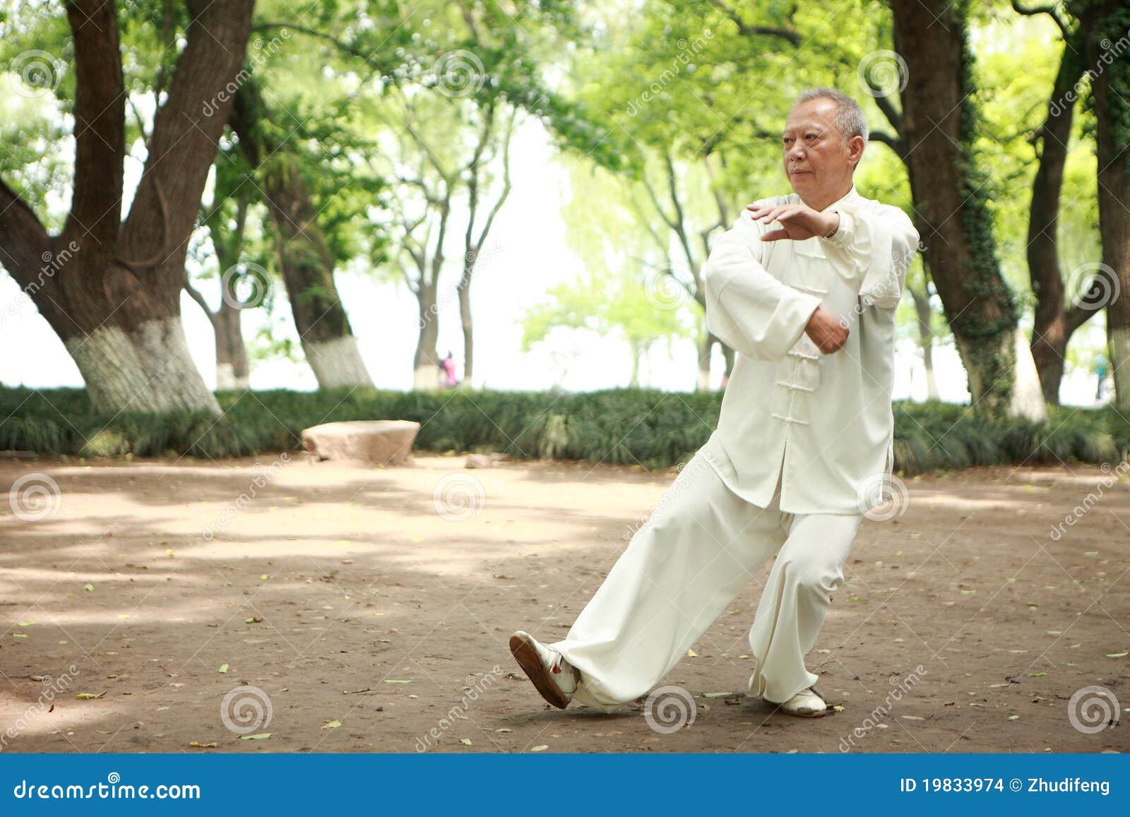 Chinese do taichi outside stock photo. Image of couple - 19833974
