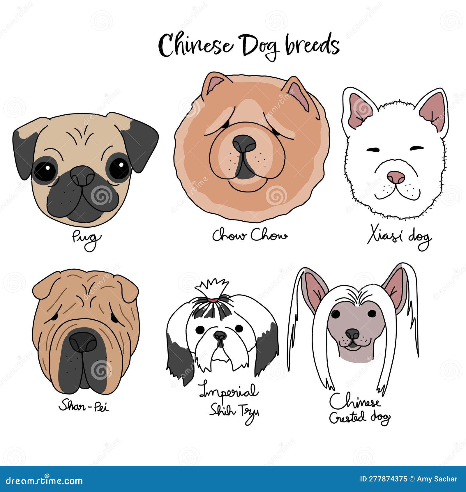 Chinese Dog Breed Cartoon Chart Illustration Stock Vector - Illustration of chart, diagram ...