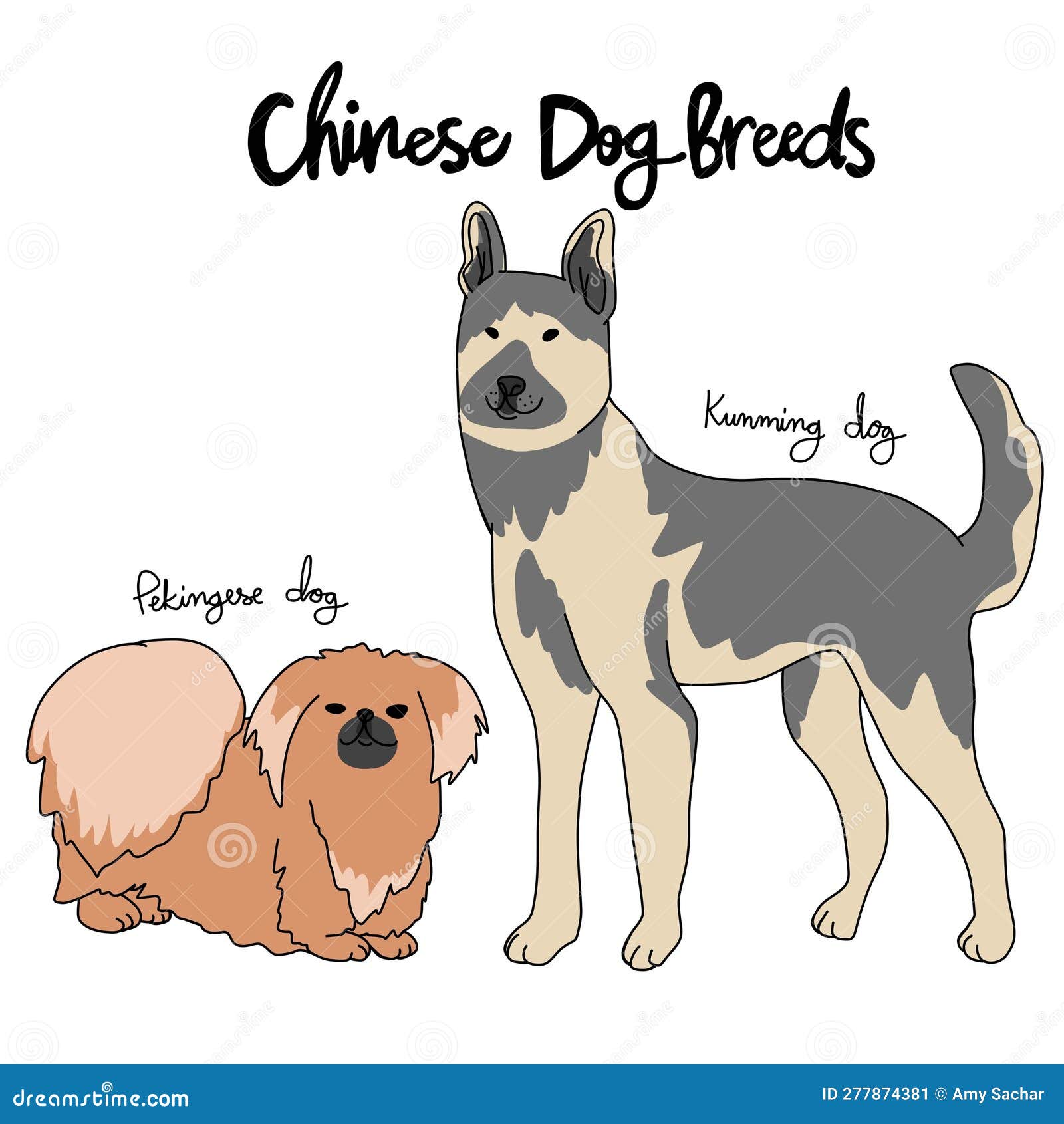 Chinese Dog Breed Cartoon Chart Illustration Stock Vector ...