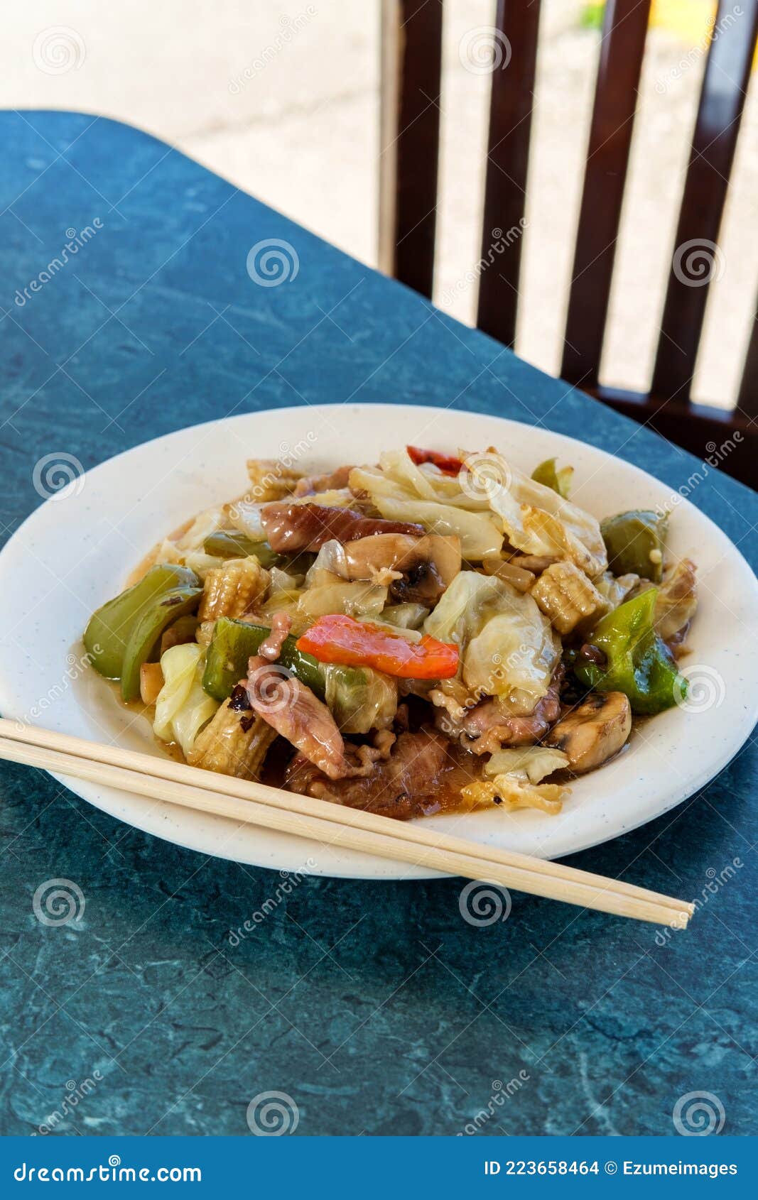 Chinese Double Cooked Pork stock photo. Image of chinese - 223658464