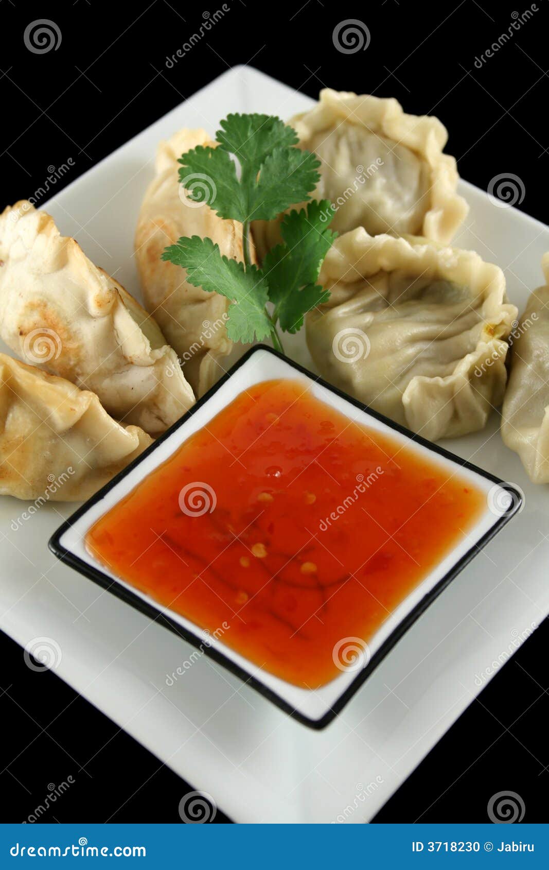 Chinese Dumplings 6 stock photo. Image of culinary, finger - 3718230