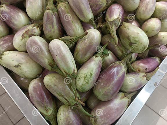 Chinese Eggplants on Display at a Market Stall in Malaysia Stock Photo ... Chinese Eggplants on Display at a Market Stall in Malaysia Stock Photo ...