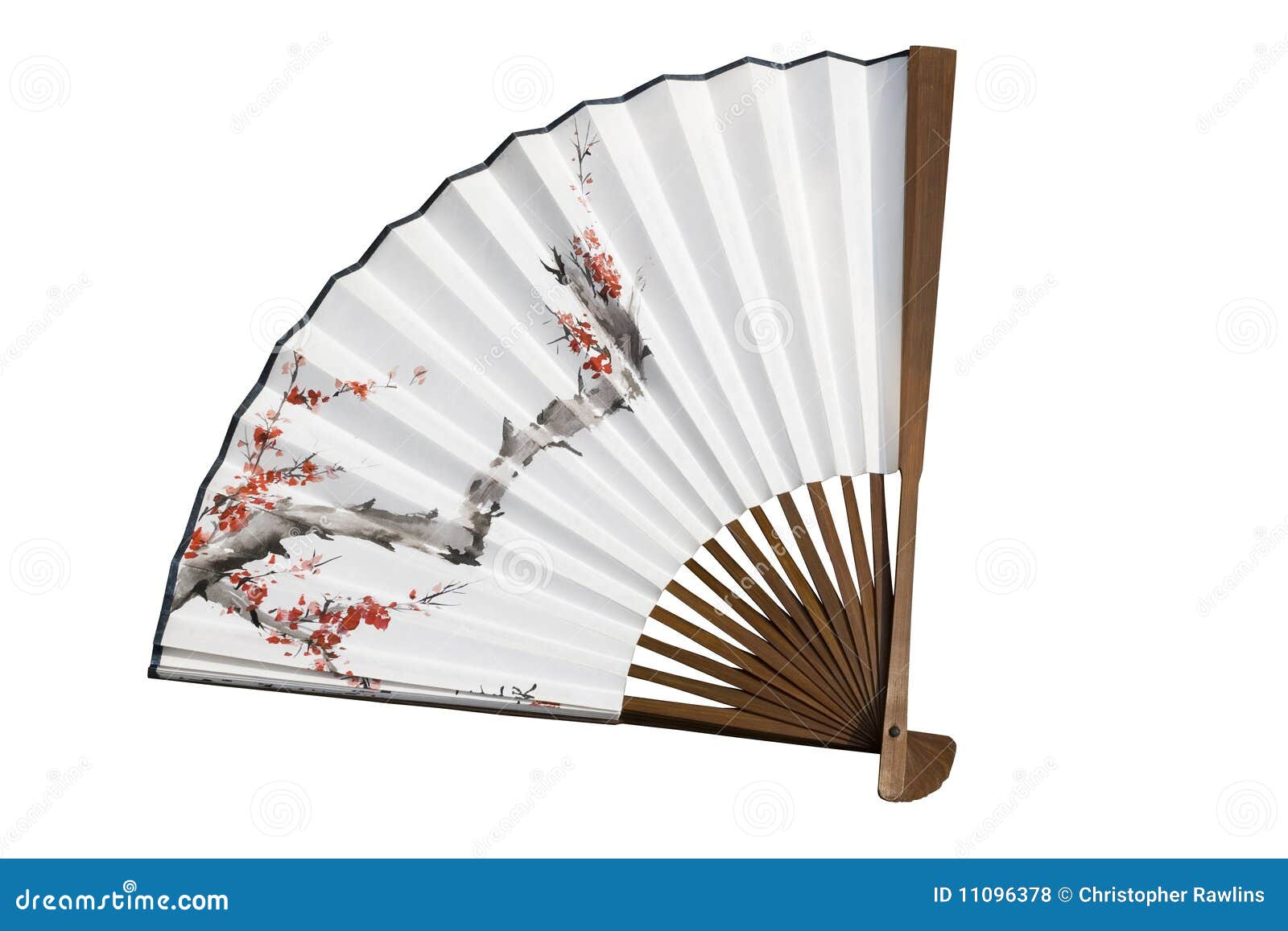 Chinese Fan stock photo. Image of china, flower, oriental - 11096378