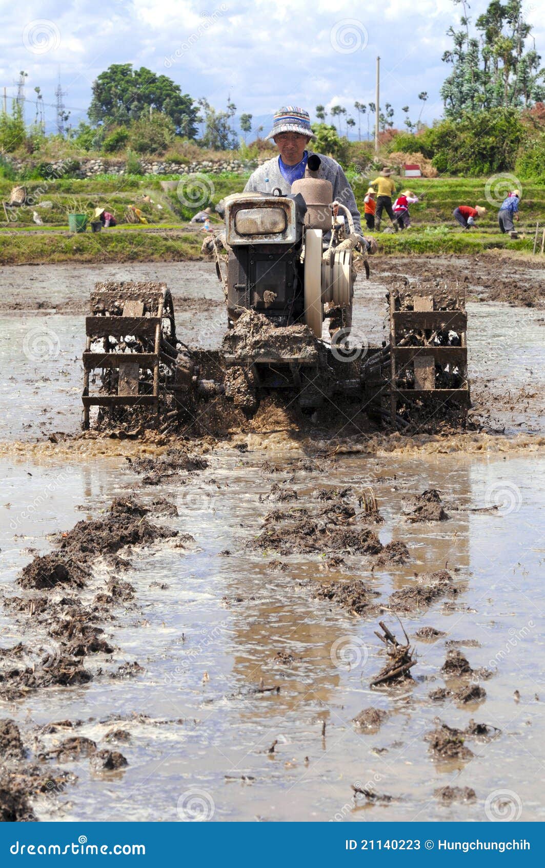 Chinese Farmer Works in a Rice Field Editorial Stock Photo - Image of ...
