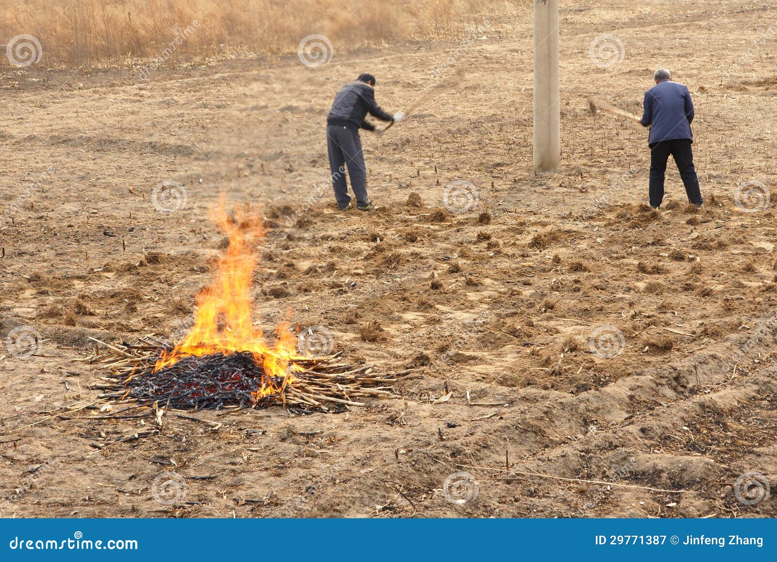 Farmers Burn Rice Fields In Rice Causing PM2.5 Dust. The Farmers ...