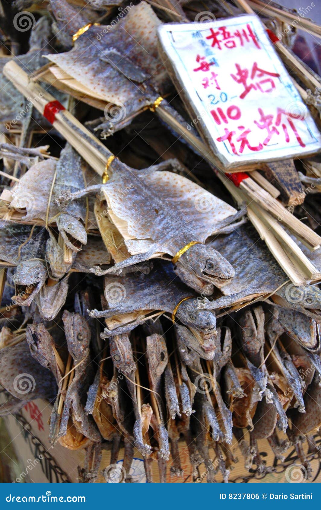 Chinese food stock photo. Image of tradition, food, lizard - 8237806