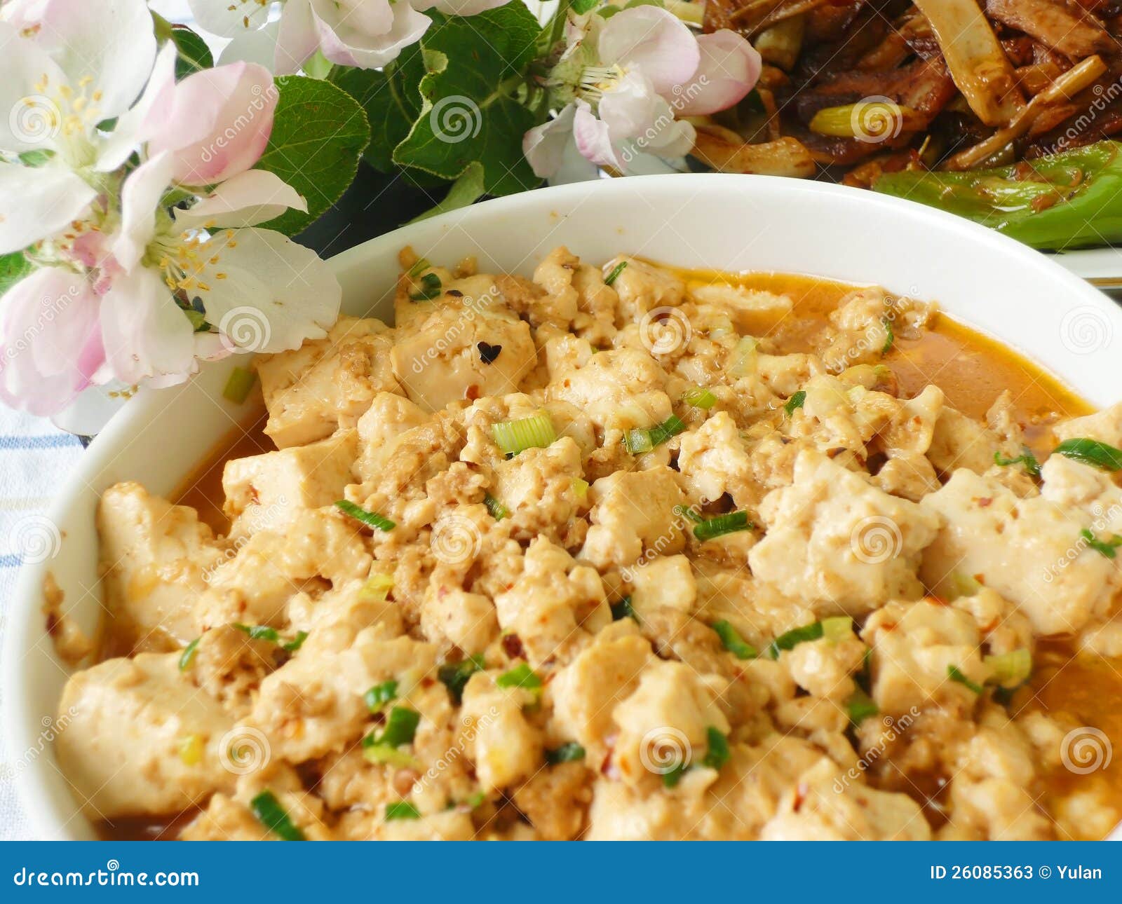 Chinese Food Specialty - Tofu Stock Image - Image of mapo, protein ...