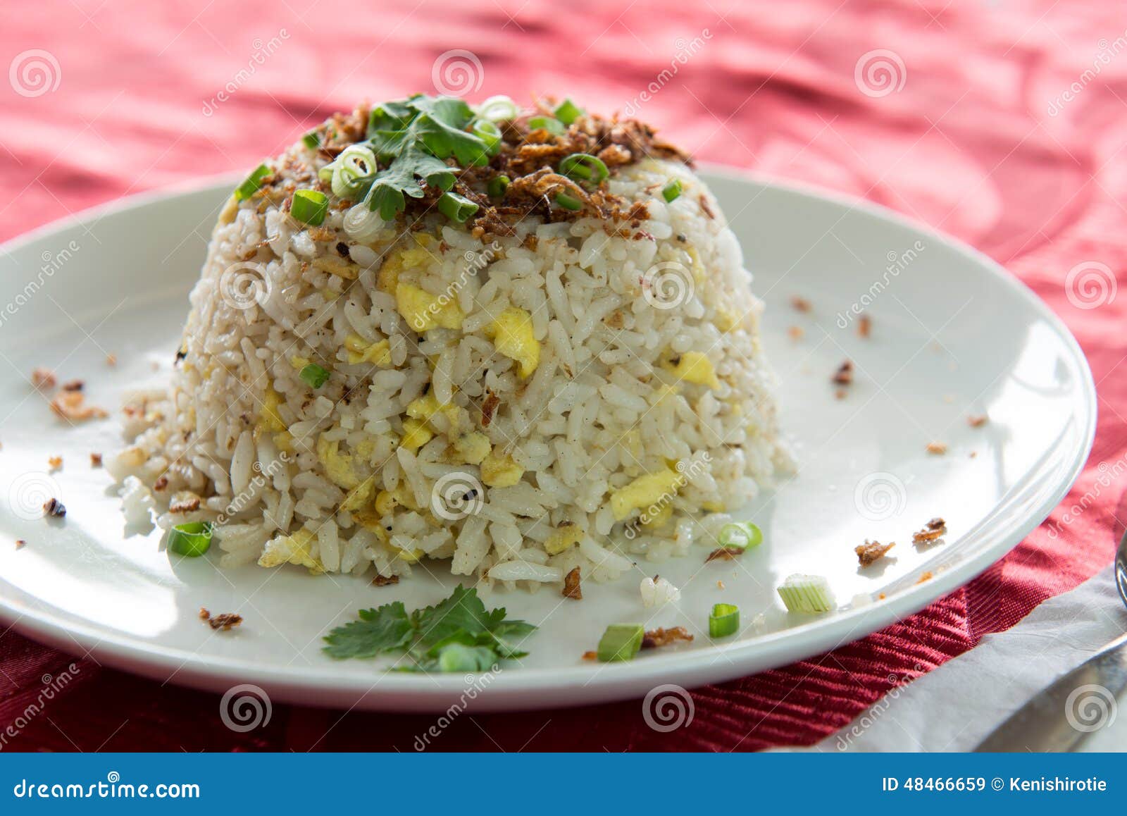 Chinese fried rice stock image. Image of onion, china - 48466659