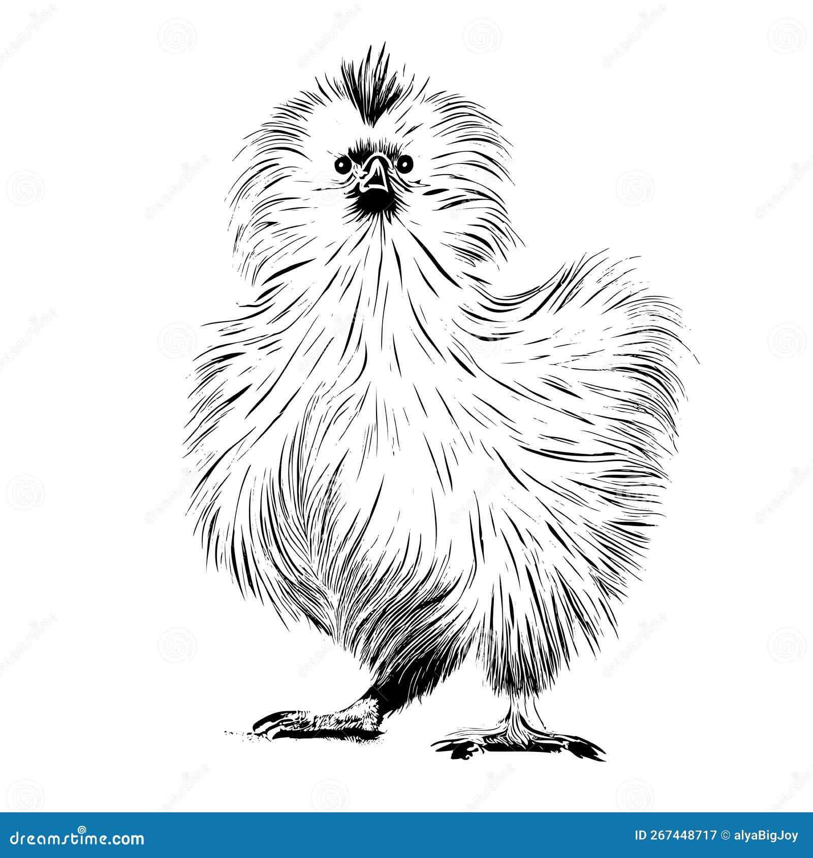 Silkie Chicken Coloring Pages