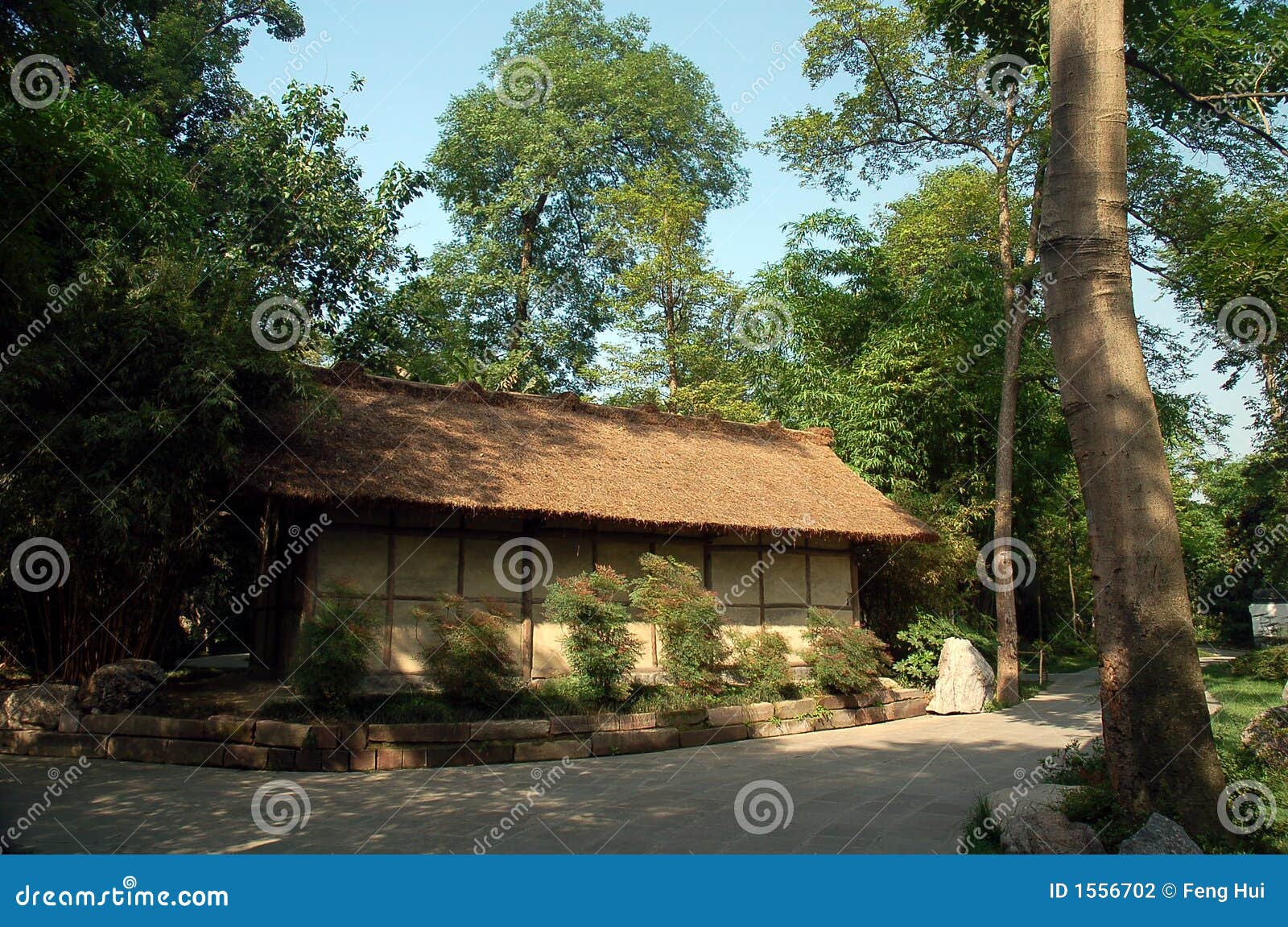 Chinese garden stock photo. Image of chengdu, tree, shadow - 1556702