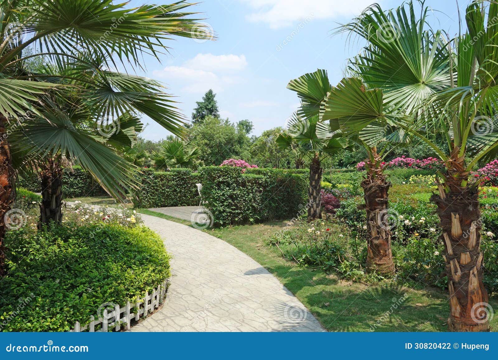 Chinese garden stock photo. Image of footpath, field - 30820422