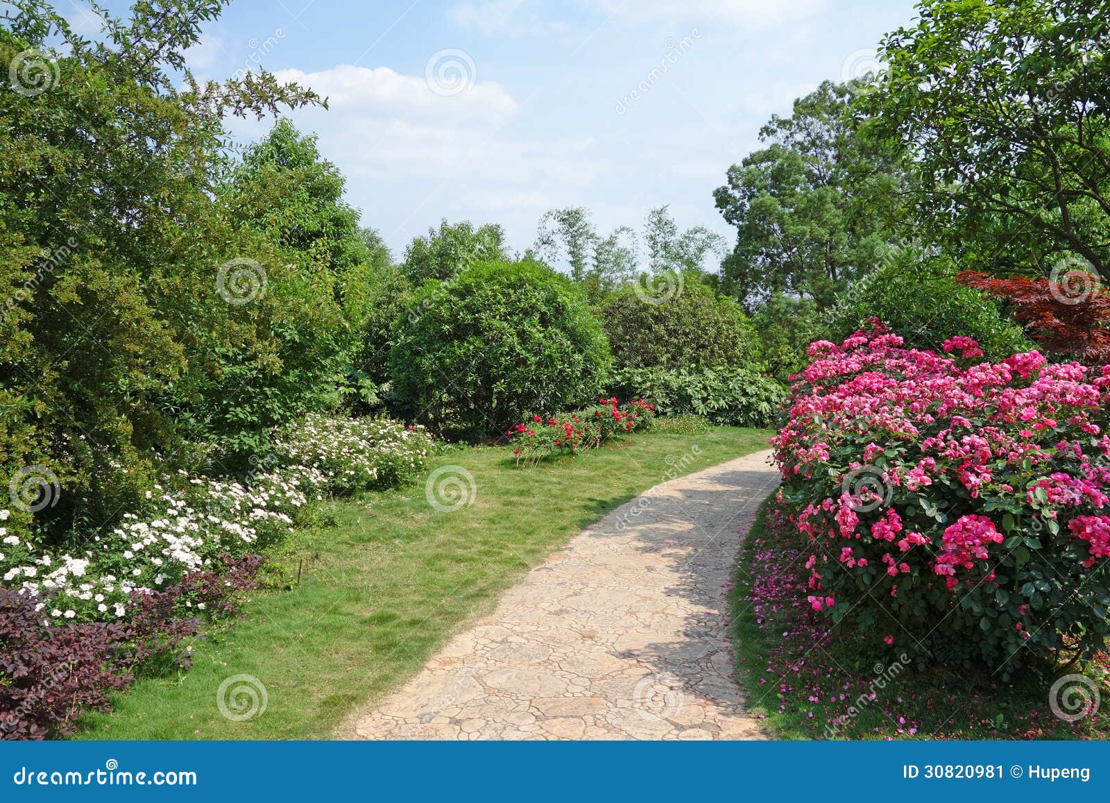 Chinese garden stock image. Image of clear, ground, beautiful - 30820981