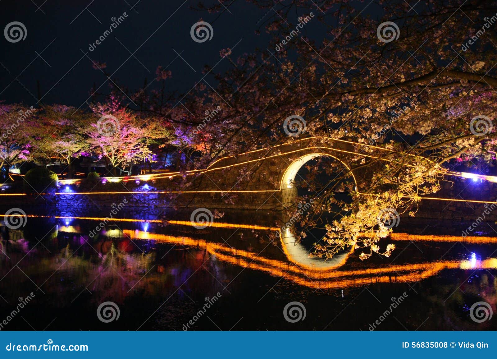 Chinese Garden stock photo. Image of scenary, garden - 56835008