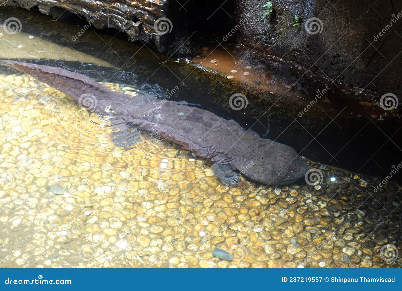 Chinese Giant Statues Royalty-Free Stock Photography | CartoonDealer ...