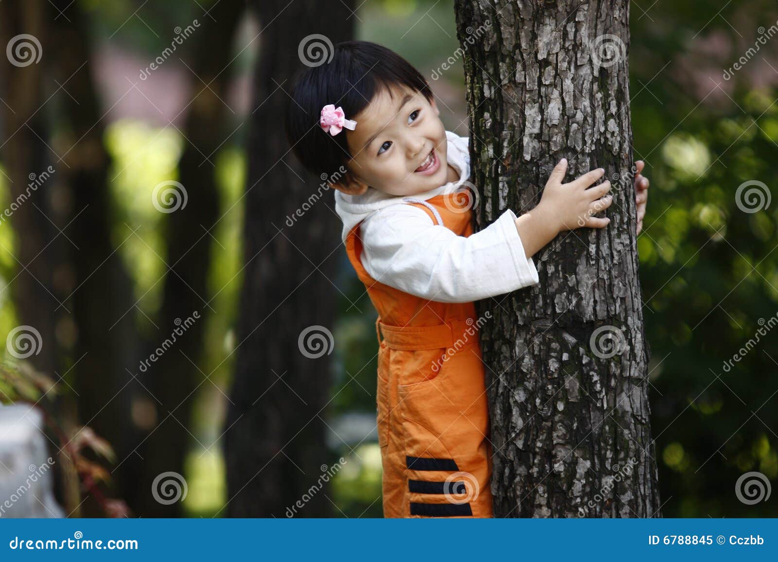Chinese Girl Holding the Tree Stock Image - Image of gesture, dressed ...