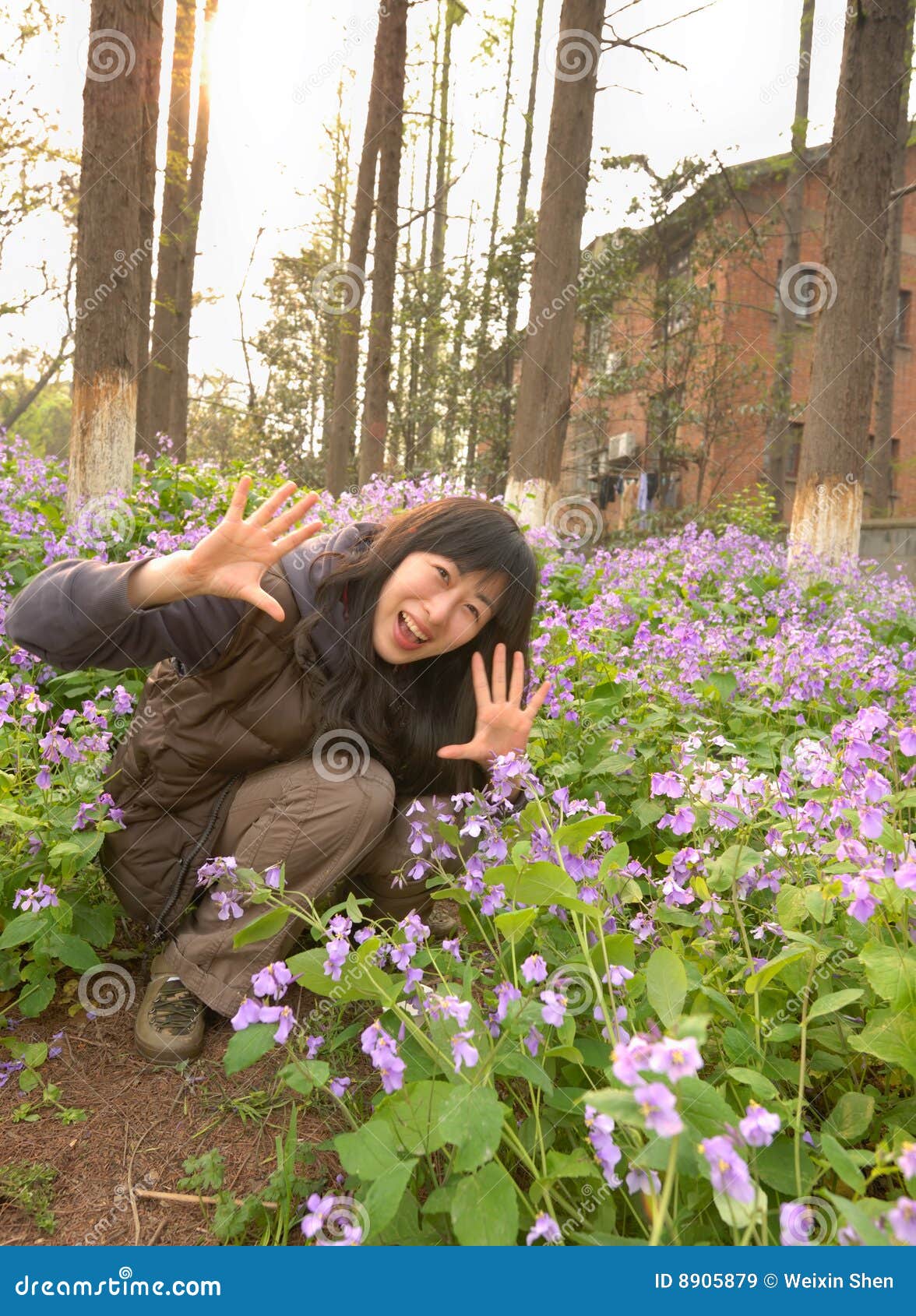 Chinese Girl Squatting in the Flowers Stock Image - Image of flower ...