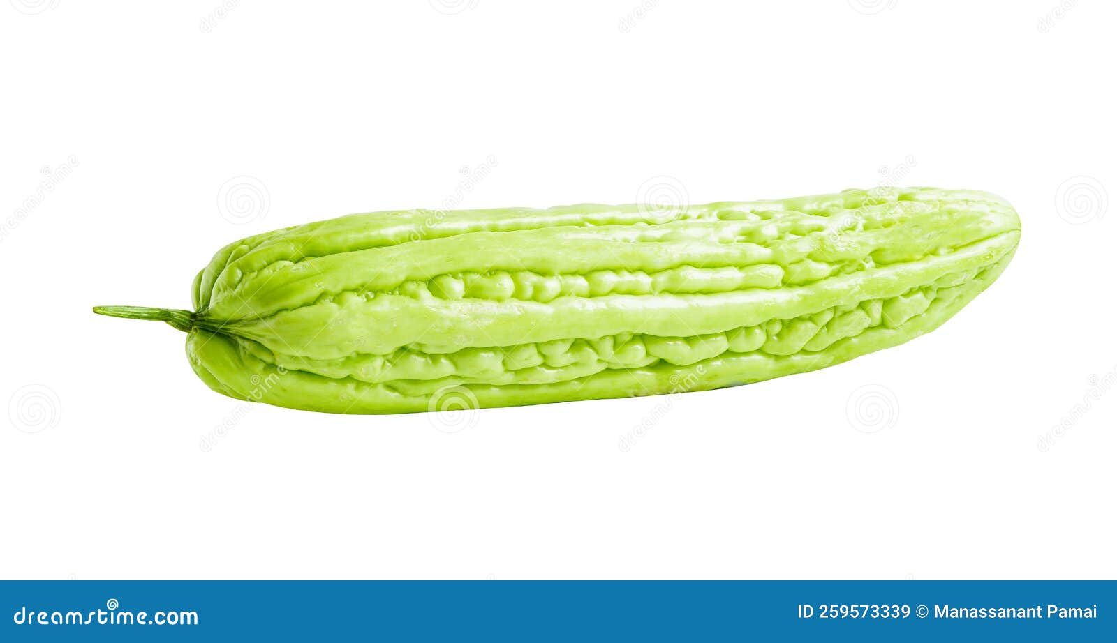 Chinese Gourd Decoration Stock Photo | CartoonDealer.com #21693498