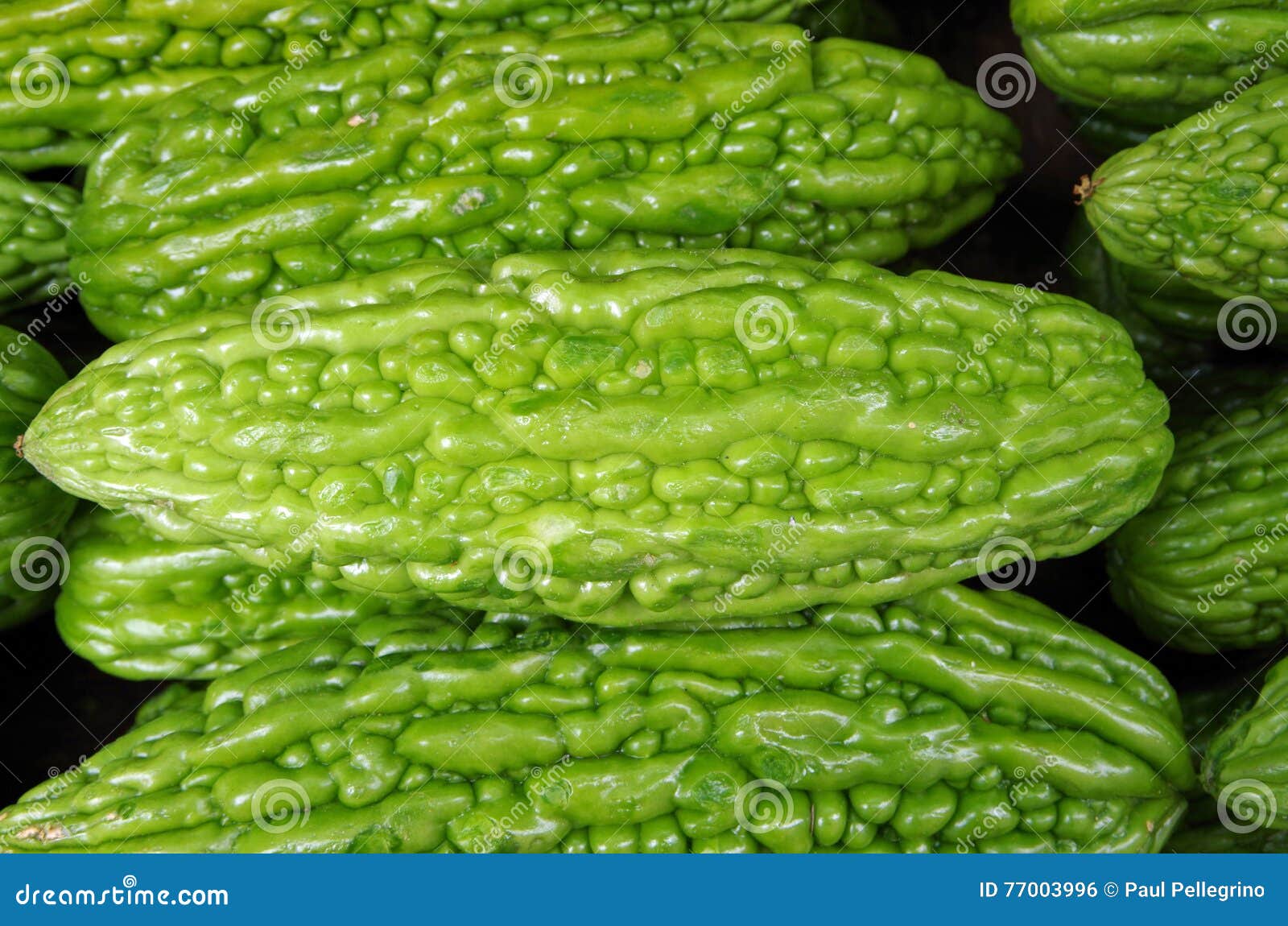 Chinese Green Bitter Melon Fu Qua Stock Photo - Image of green, food ...