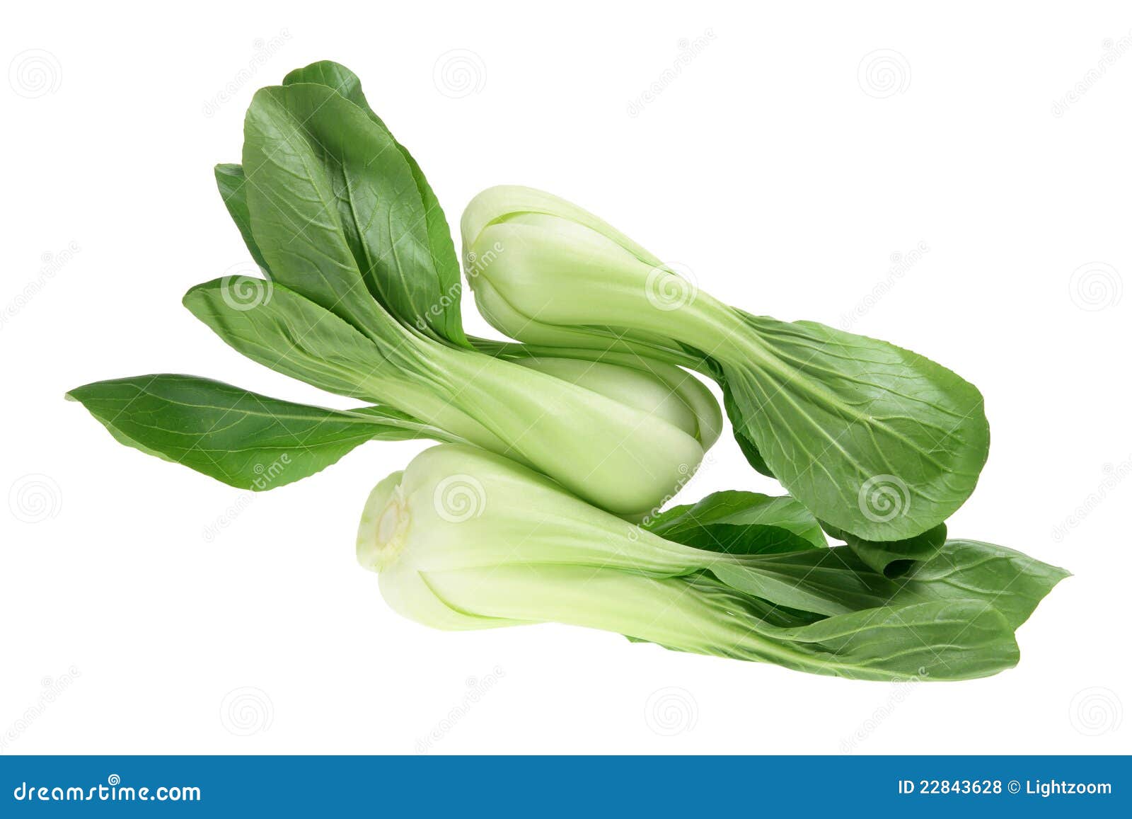 Chinese Groenten stock foto. Image of knipsel, studio - 22843628