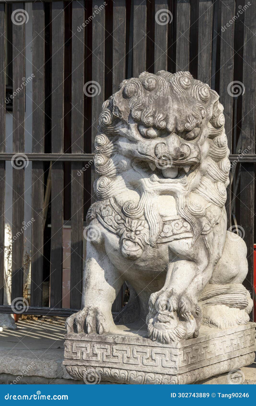 Chinese Imperial Guardian Lion in Front of Temple Stock Image - Image ...