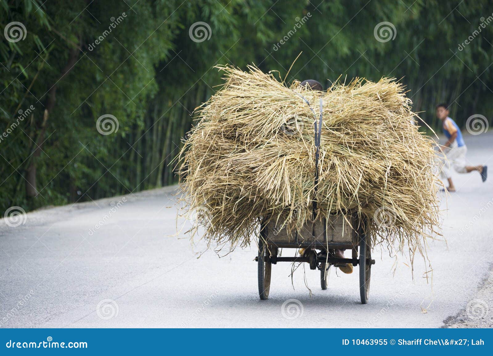 Chinese Hay Cart stock image. Image of brown, guangxi - 10463955