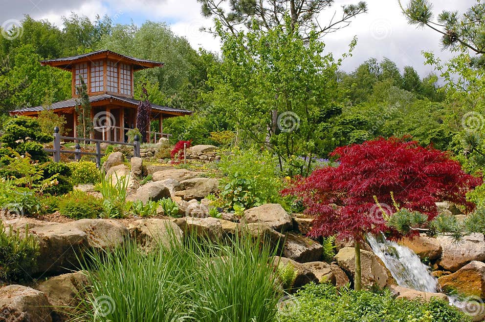 Chinese, japanese garden. stock image. Image of orient - 178187