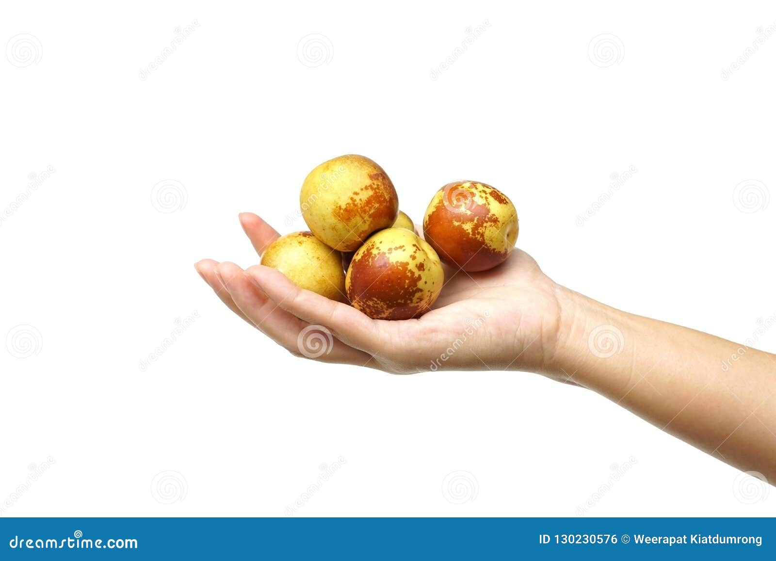 Chinese jujube stock photo. Image of leaf, jujuba, healthy - 130230576 Chinese jujube stock photo. Image of leaf, jujuba, healthy - 130230576