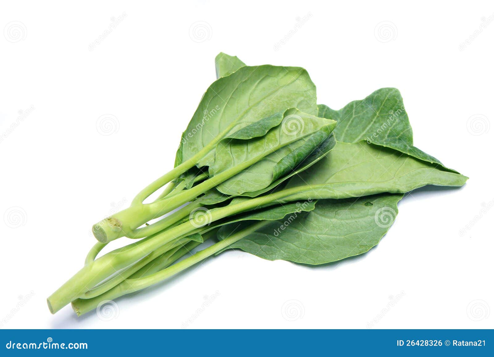 Chinese kale stock photo. Image of food, vegetable, market - 26428326