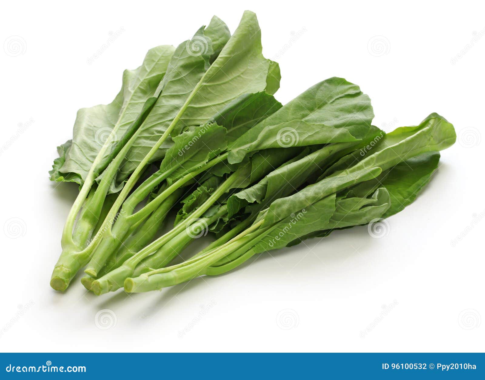 Chinese Kale Stock Photo | CartoonDealer.com #27245688