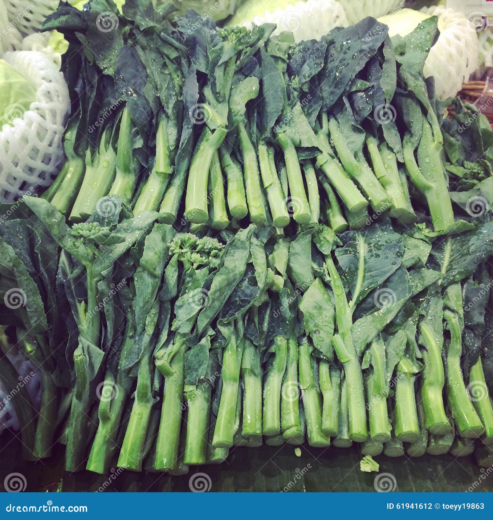 Chinese kale stock photo. Image of tropical, market, asian - 61941612