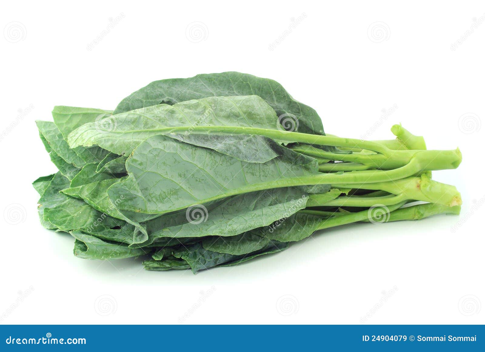 Chinese kale vegetable stock image. Image of kale, healthy - 24904079