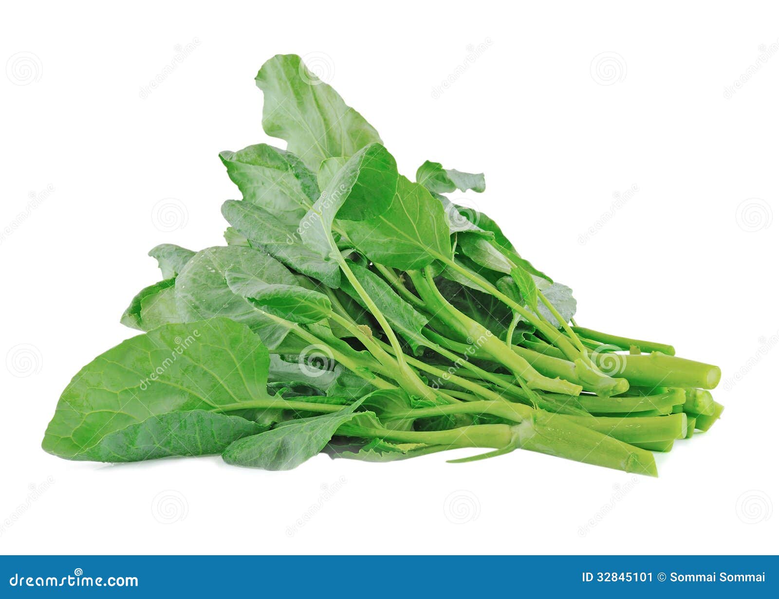 Chinese kale vegetable stock image. Image of diet, chinese - 32845101