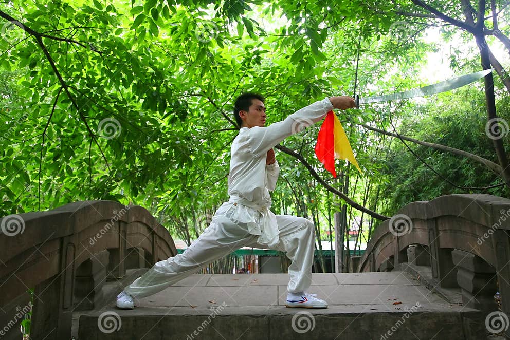 Chinese kongFu stock image. Image of healthy, kongfu, power - 2810123