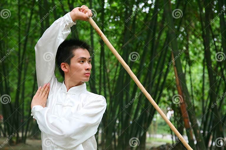 Chinese kongFu stock photo. Image of young, kongfu, health - 2810188