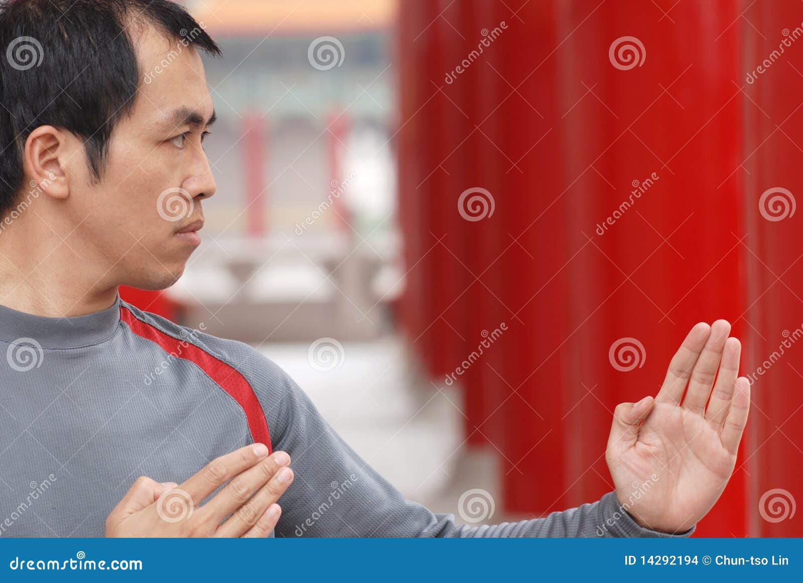 Chinese kung fu stock photo. Image of pose, attack, male - 14292194