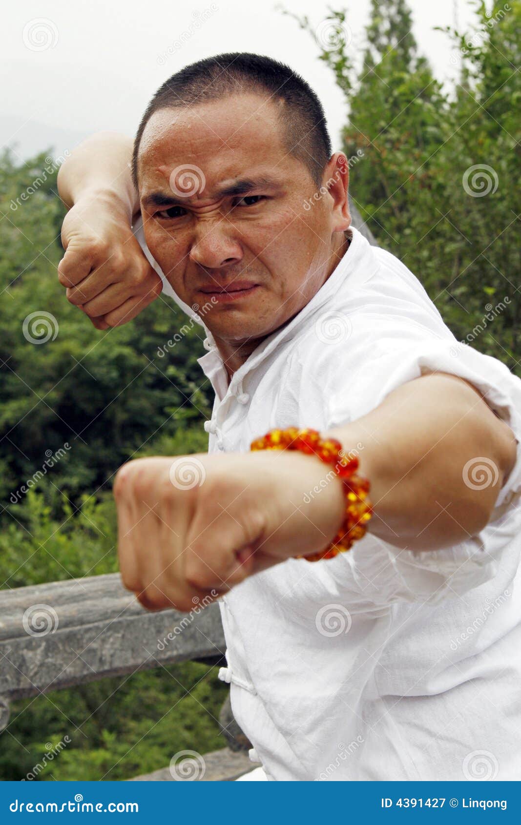Chinese Kung Fu stock image. Image of fighter, forces - 4391427