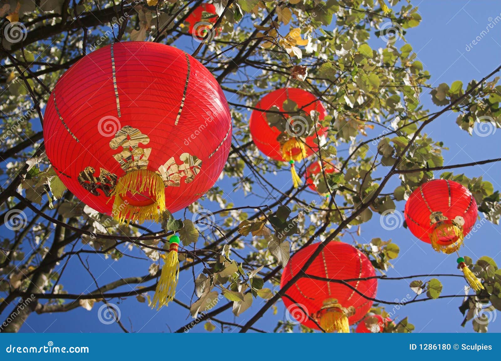 Chinese lantern stock photo. Image of lantern, travel - 1286180