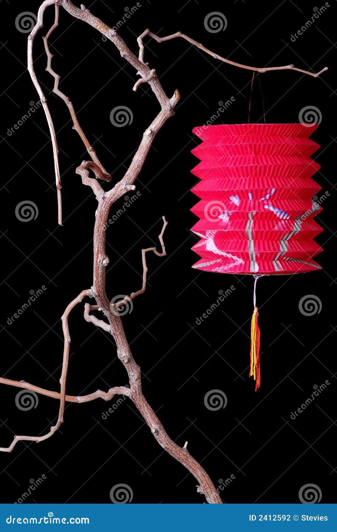 Chinese Lantern stock photo. Image of single, japan, solo - 2412592